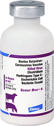 Healthy calves start with Scour Bos®